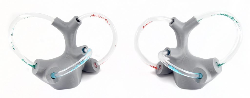 Fluid-Filled Vestibular Apparatus | Vestibular First