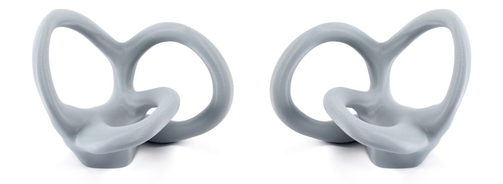 Vestibular Apparatus Model - Vestibular First