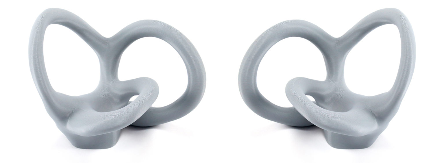 Vestibular Apparatus Model - Vestibular First