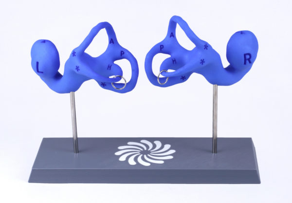 Vestibular Today Models | Vestibular First