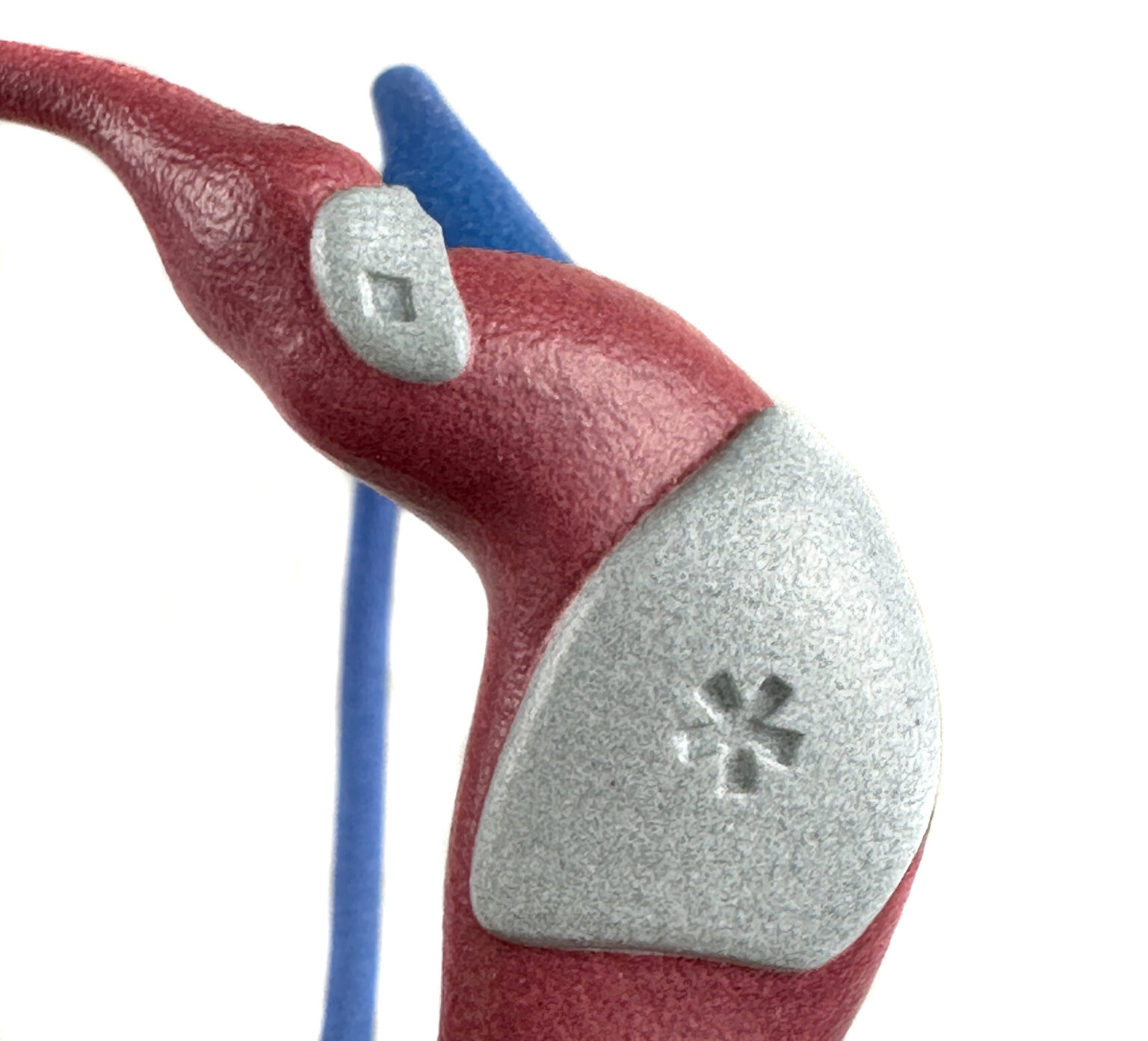 Membranous Labyrinth Inner Ear Model | Vestibular First