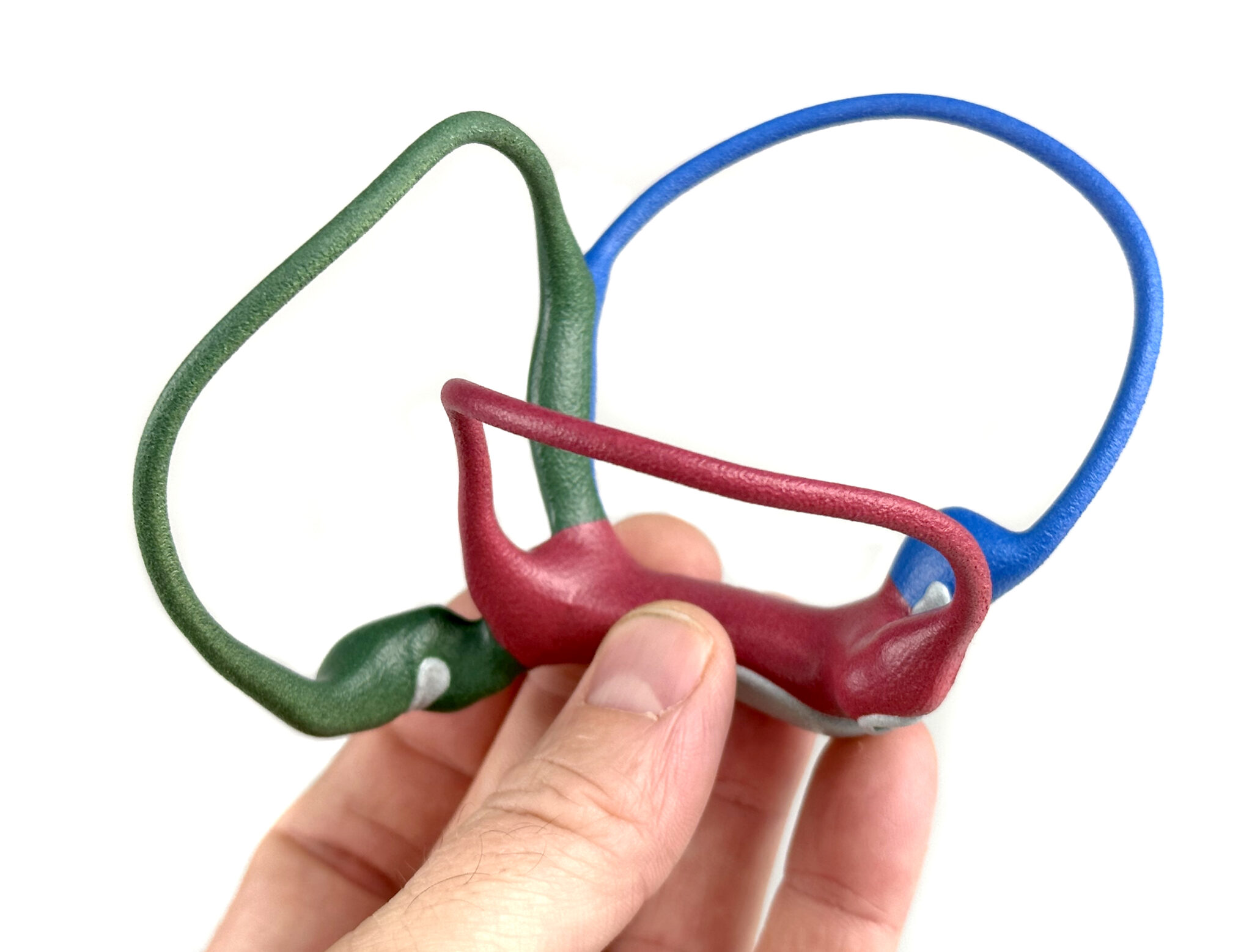 Membranous Labyrinth Inner Ear Model | Vestibular First