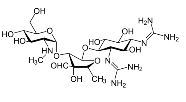 Bilateral Vestibulopathy | Vestibular First