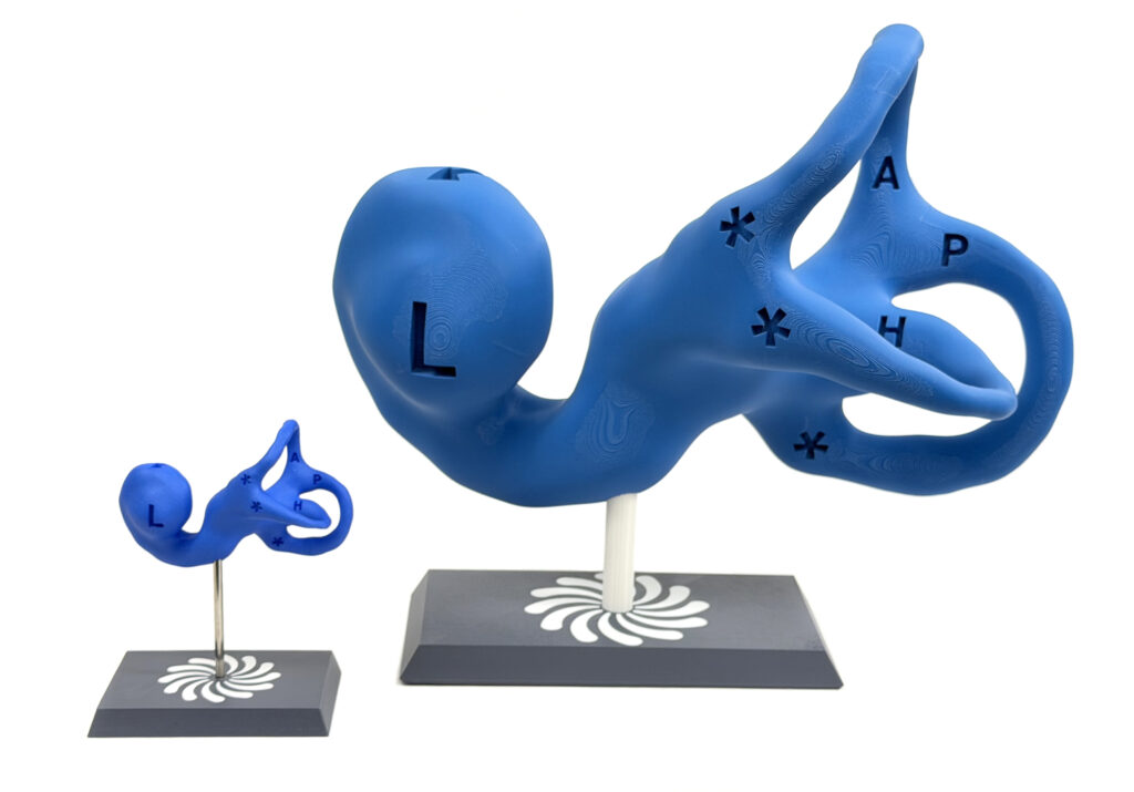 Store | Vestibular First