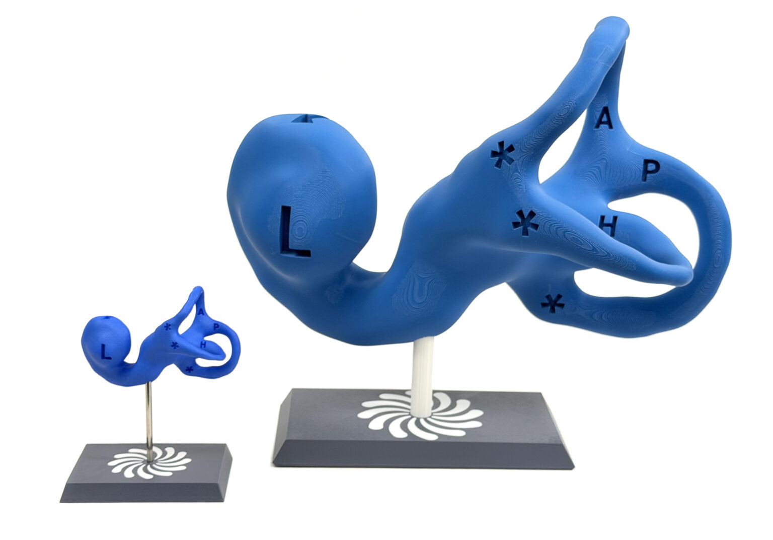 Store | Vestibular First